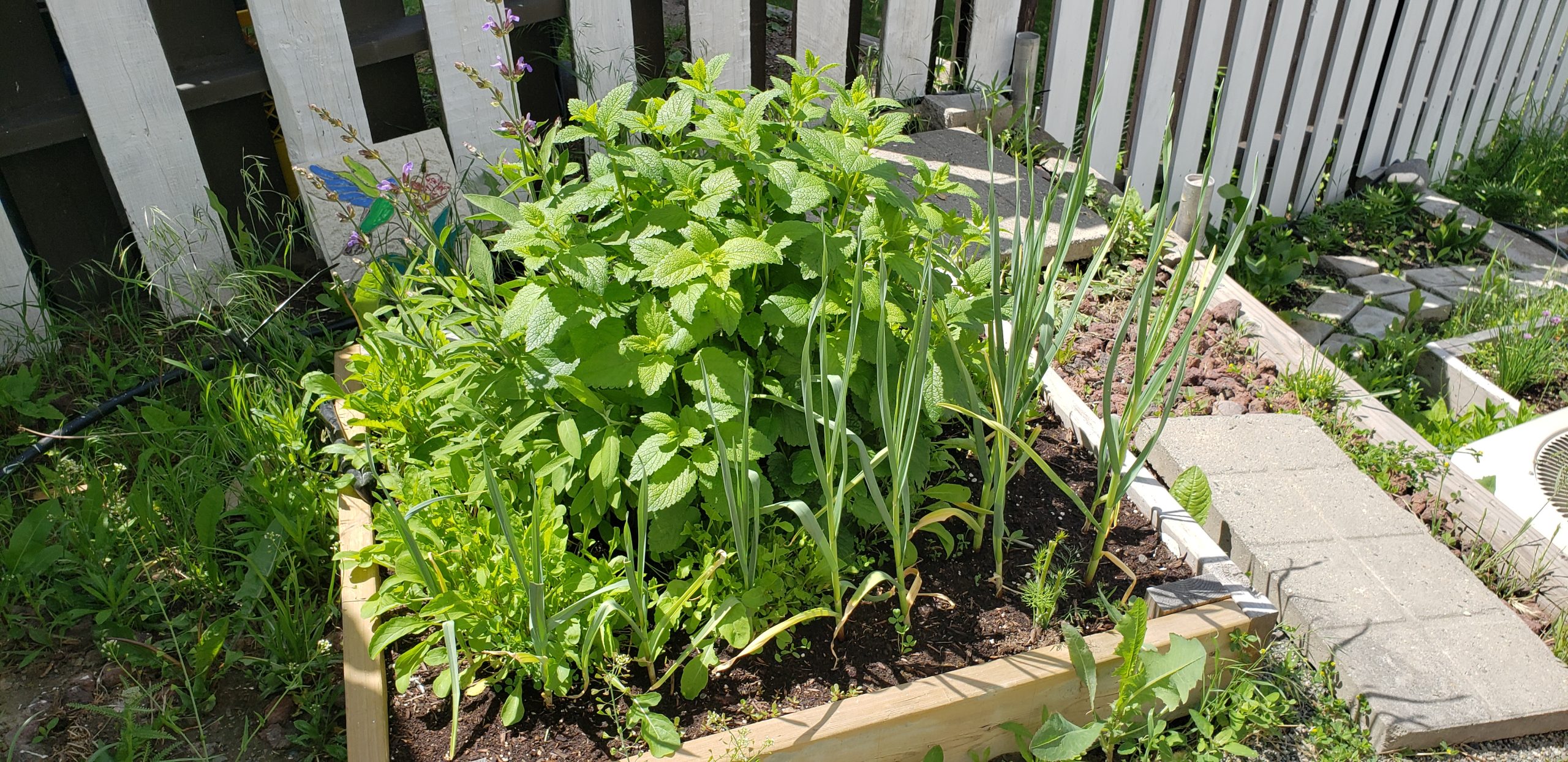 Because life matters