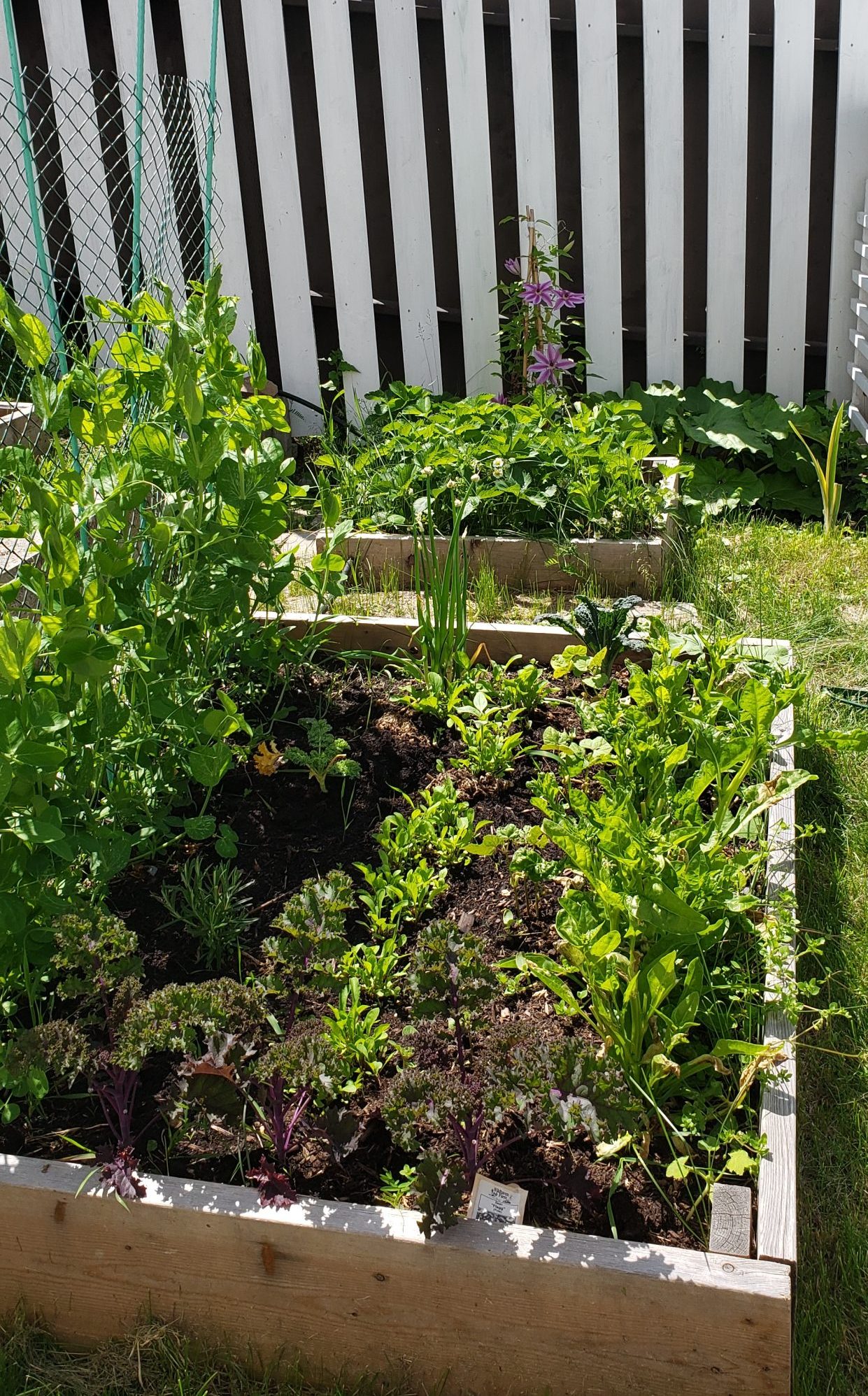 Because life matters