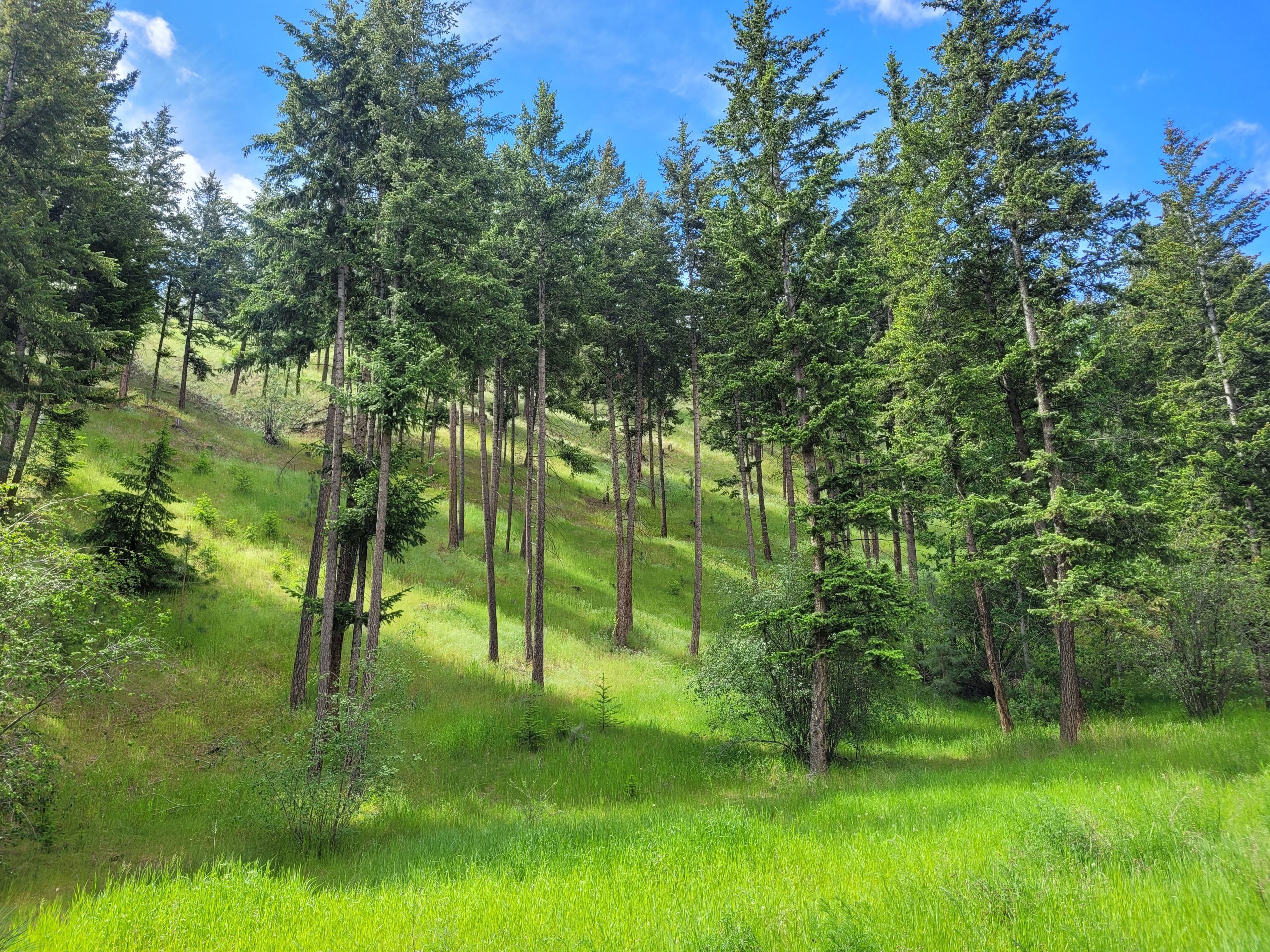 Processed foods: keep the good, ditch the bad - Daniela Ginta, MSc ...