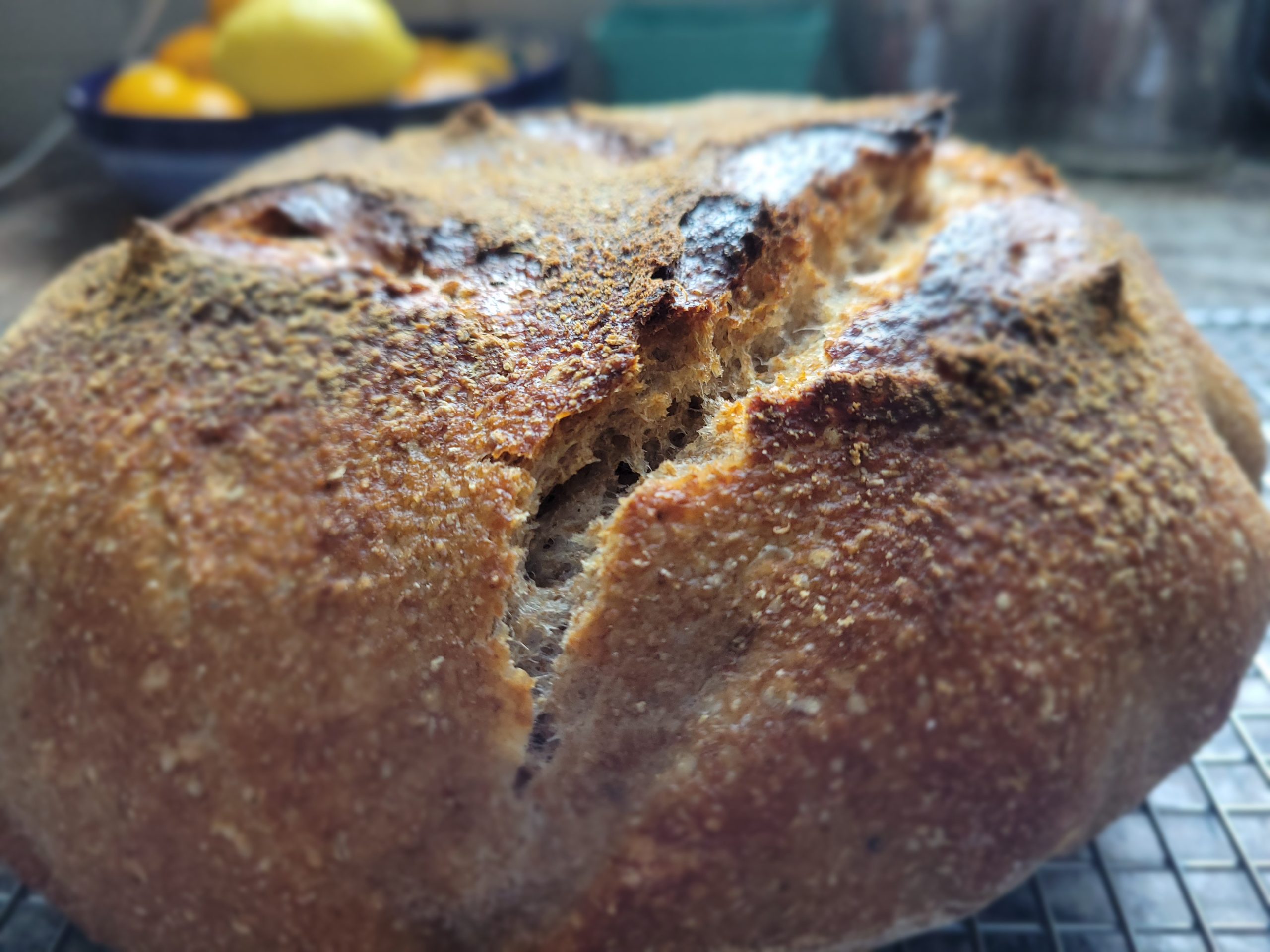 Health Benefits Of Whole Grain Sourdough Bread at Phillip Danforth blog