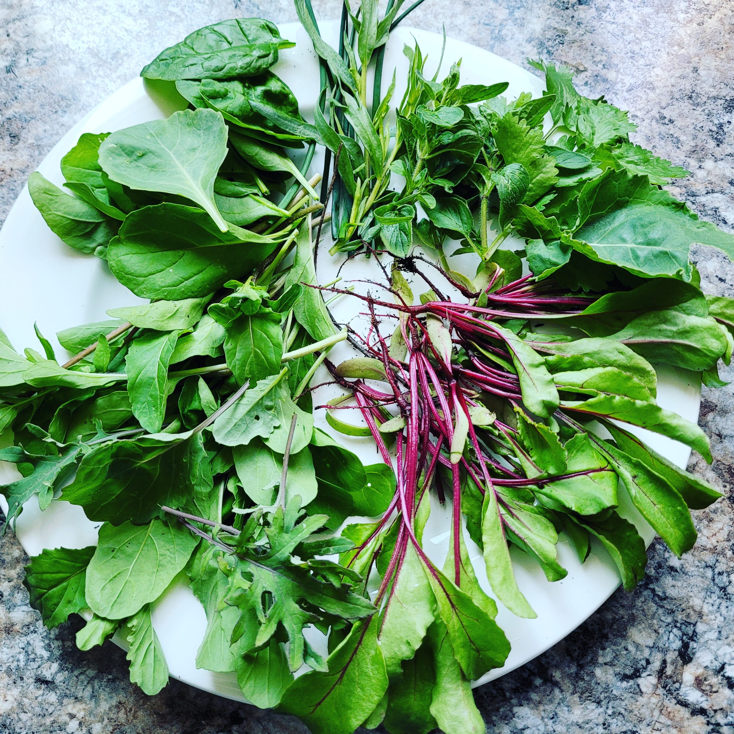 Aging versus Healthy Aging - Daniela Ginta, MSc, Nutrition Coach and ...